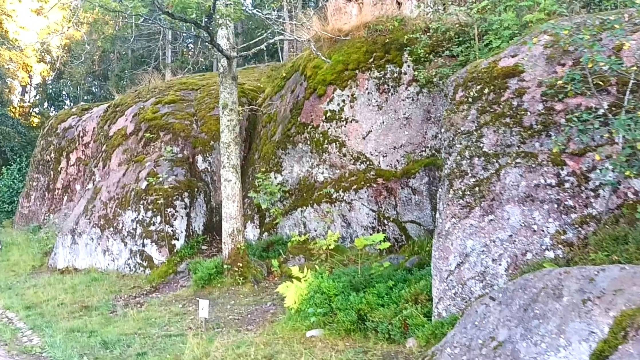 ВЫБОРГ - Монрепо - Скалы