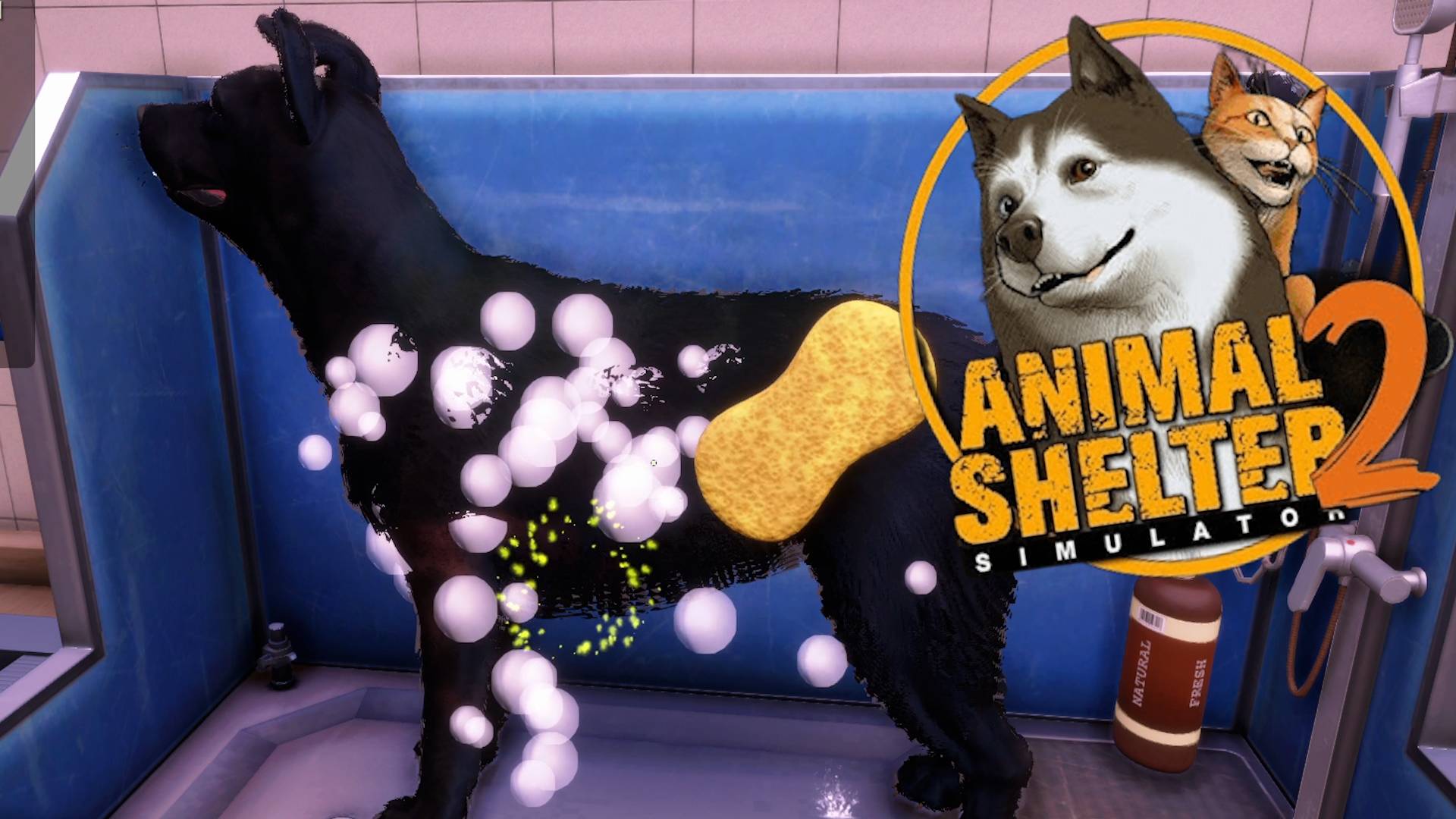 НАБИРАЕМ ОБОРОТЫ | ANIMAL SHELTER 2 #3