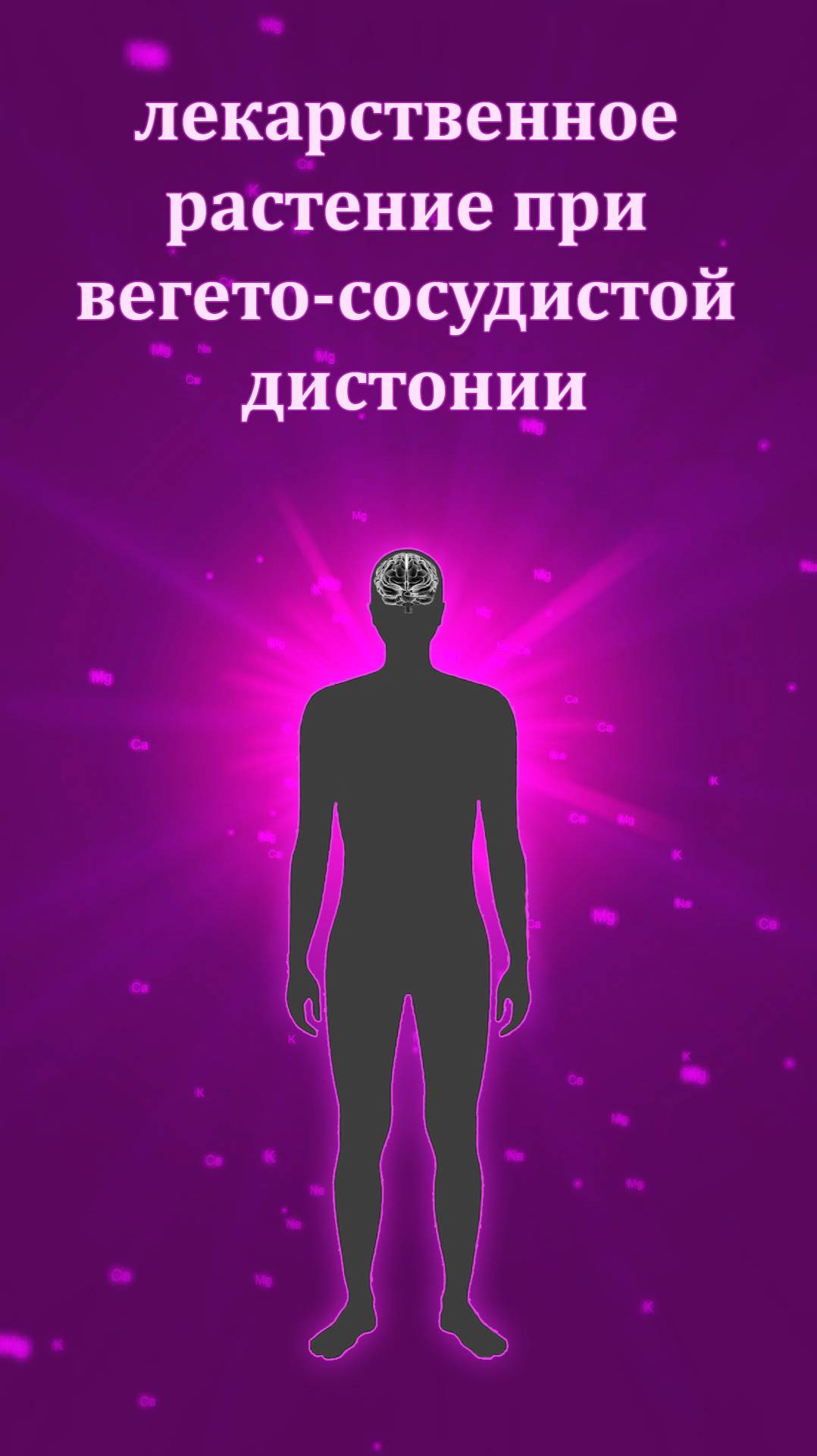 Лекарственное растение при вегето-сосудистой дистонии