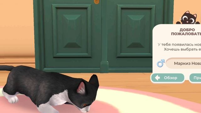 играю а кошаков называя их именами из кв