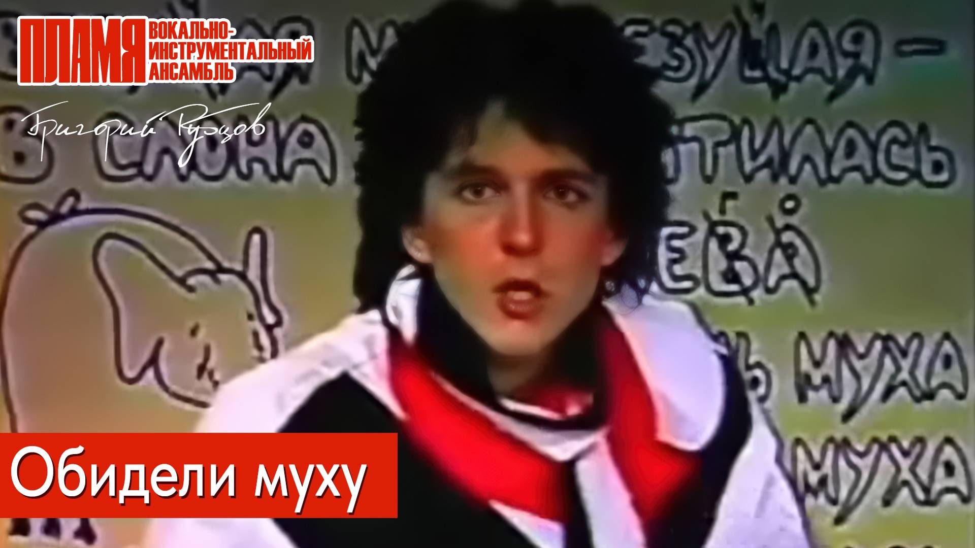 ВИА "ПЛАМЯ" - Обидели муху (1988) | Солист Григорий Рубцов
