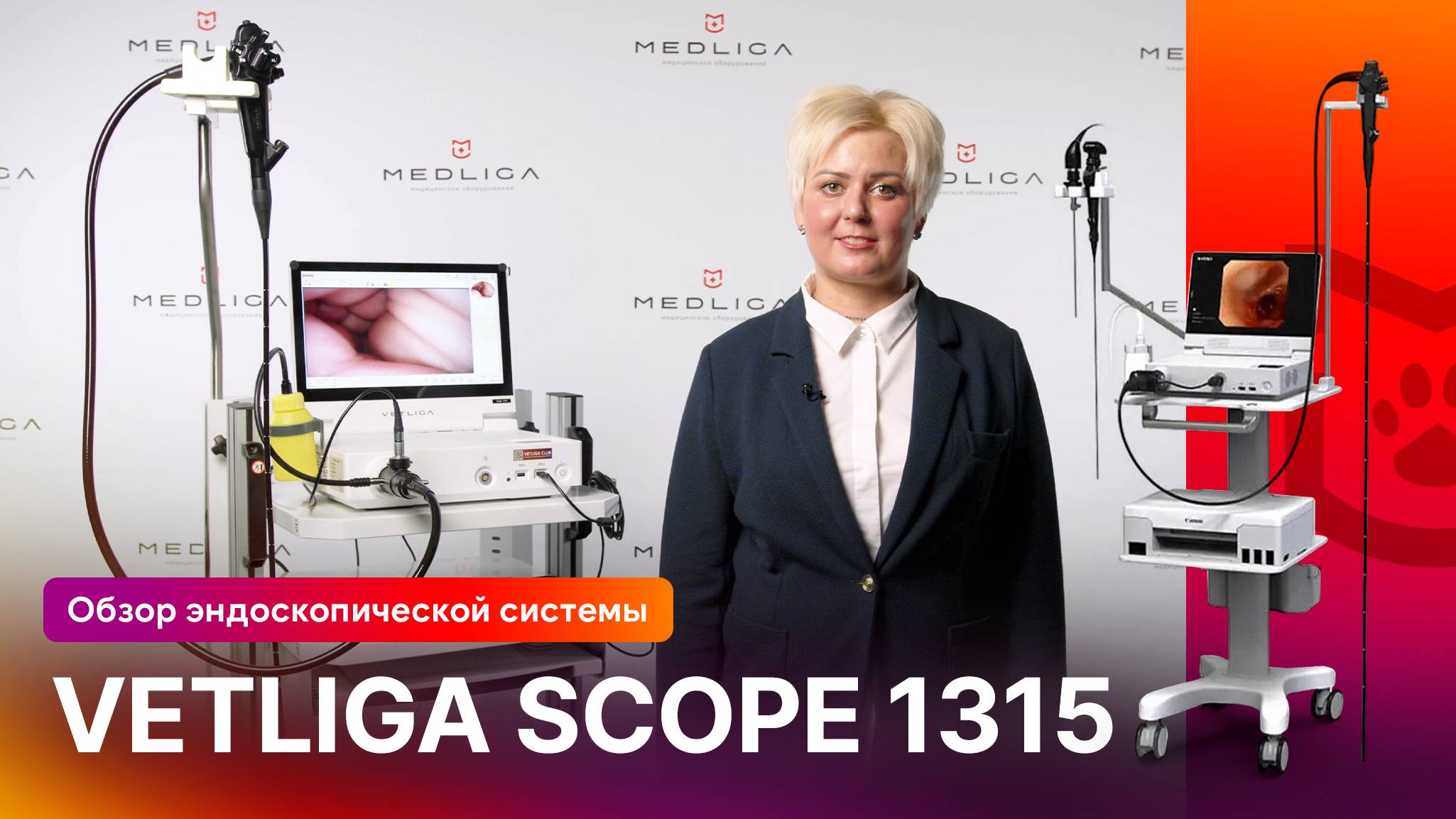 Обзор эндоскопической системы VETLIGA Scope 1315