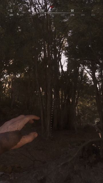 Hunt Showdown 1896 Double kill # 2