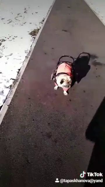 WhatsApp Video 2024-02-09 at 12.12.14