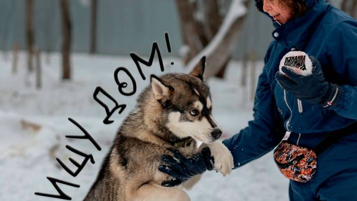 ПРИЮТ | ИЗНАНКА