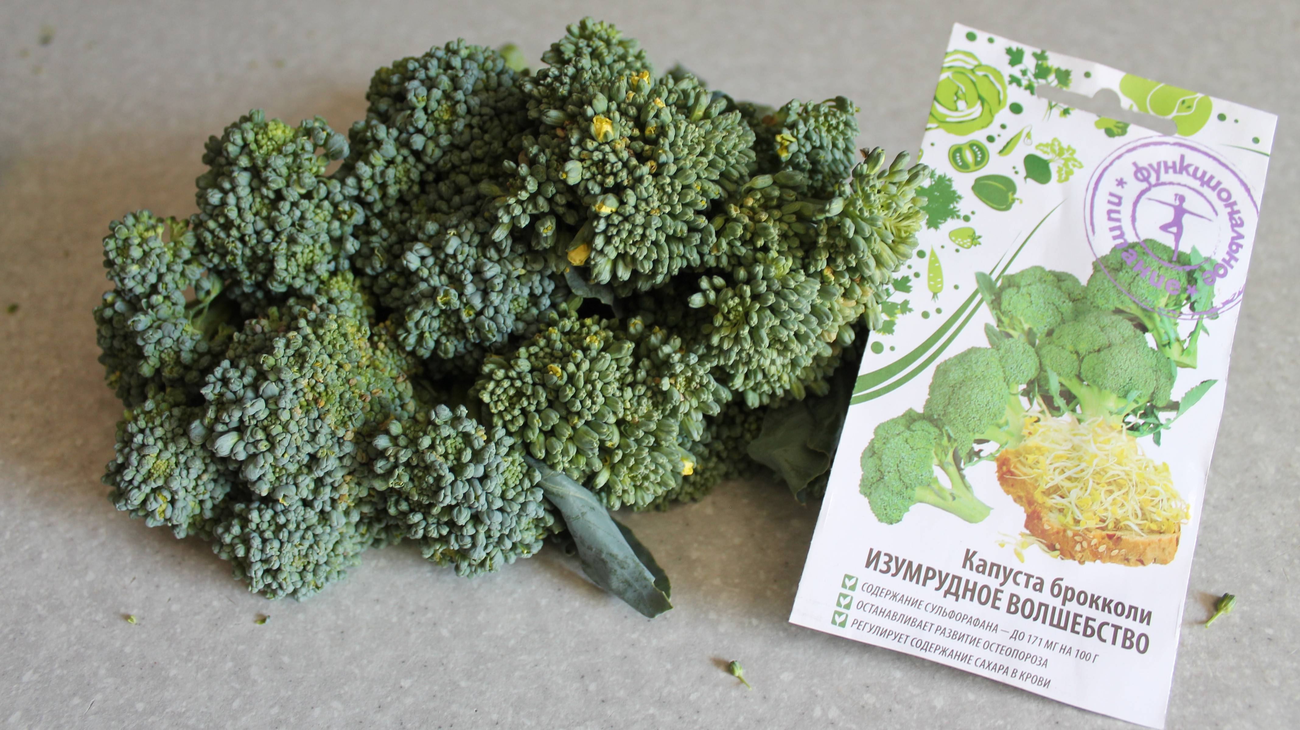 Капуста брокколи Изумрудное волшебство