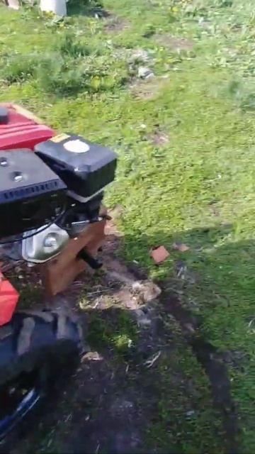 Нацепил сажалку на мотоблок