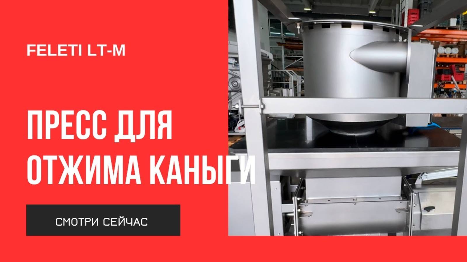 Пресс для отжима LT-M