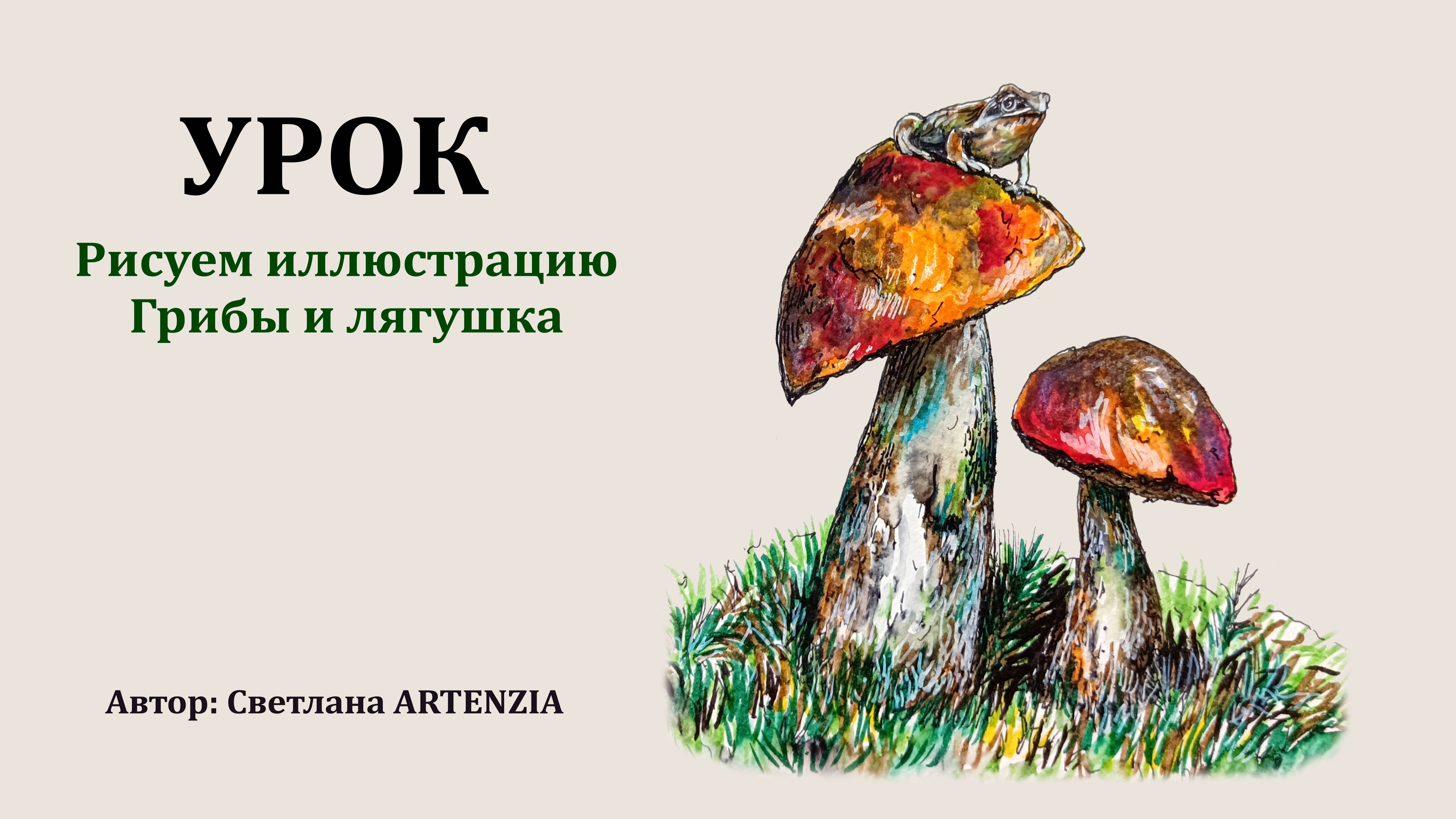 Грибы и лягушка