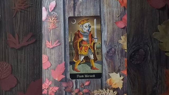 Для начинающих.Таро безумной луны.Карты двора.Паж Мечей