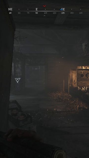 Hunt Showdown 1896 Double kill # 4