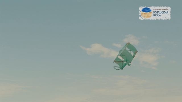 День полетов над Куршской косой