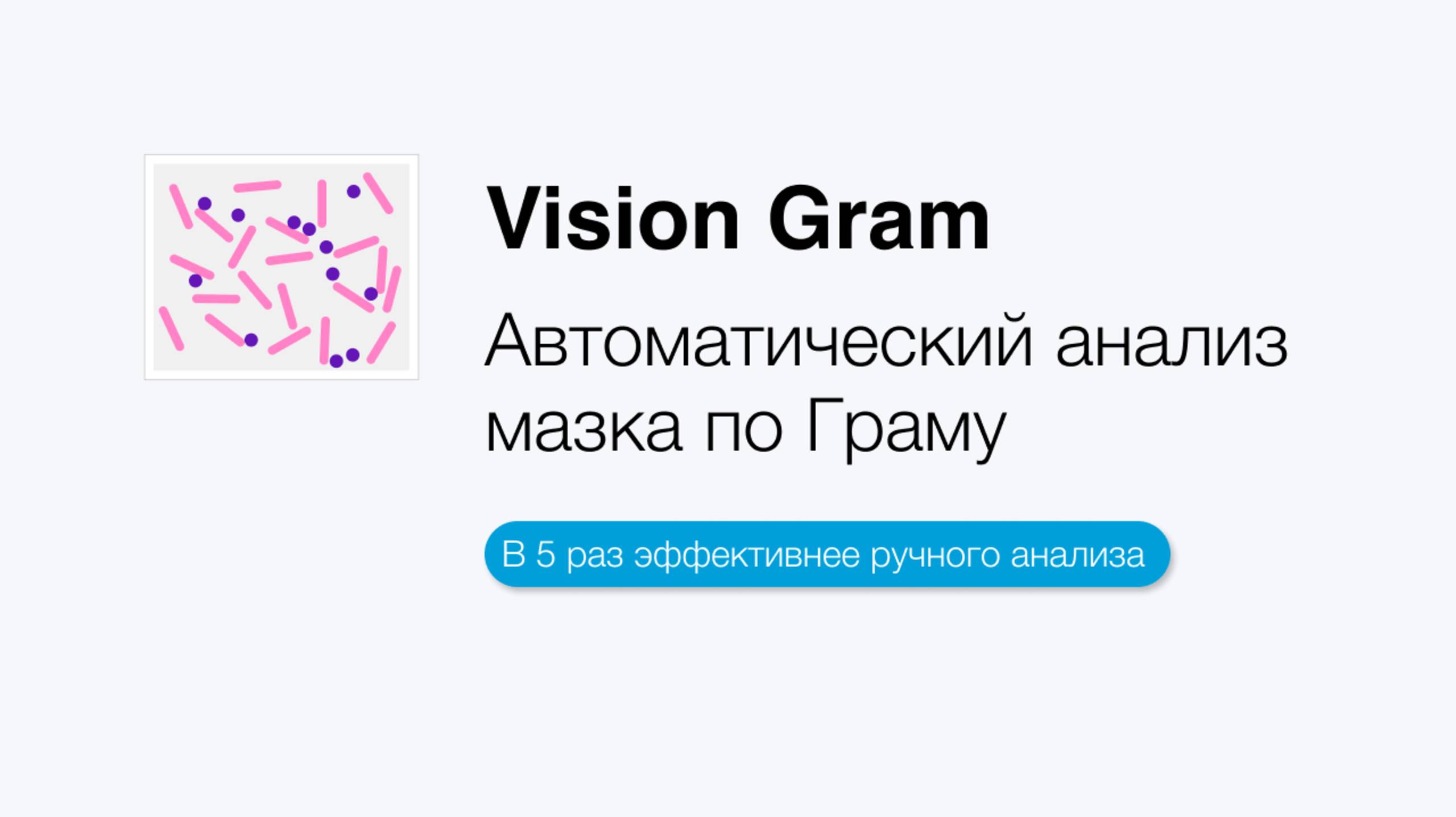 Автоматический анализ мазка по Граму | Vision Gram
