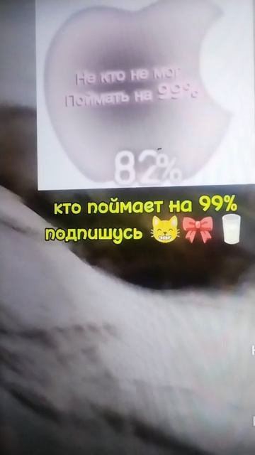 Кто поймает? 😺🌈🦩️🌷
