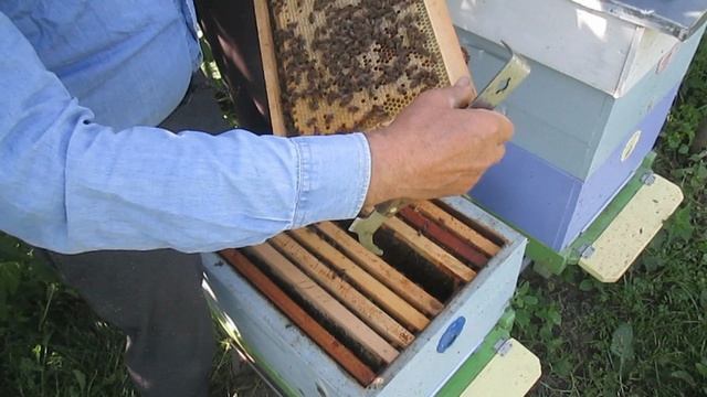 Работы на пасеке с пчелами