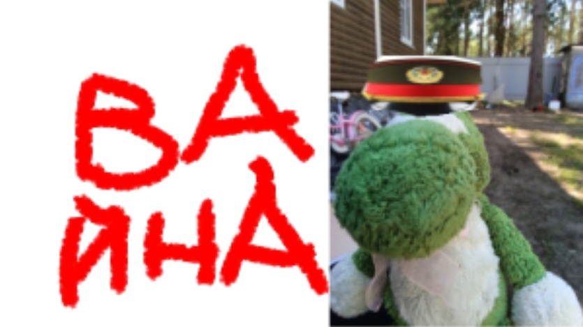 вайна с зени