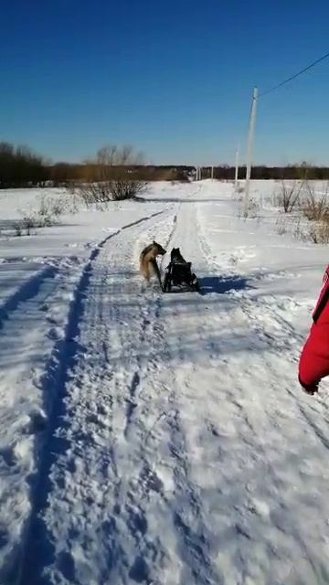 video5262931883750076245