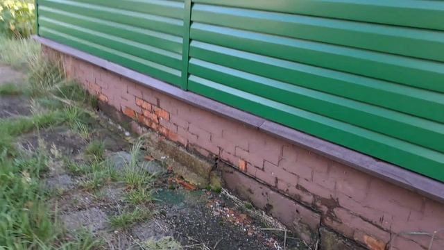 Тыква - не её год вышел