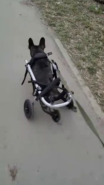 video5323648006757568628