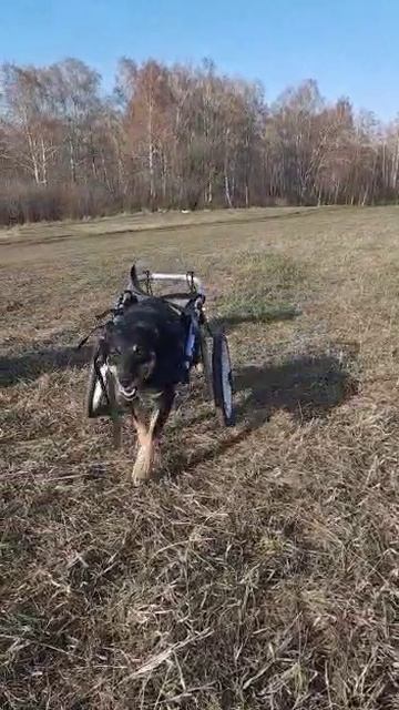 WhatsApp Video 2023-05-14 at 22.35.17