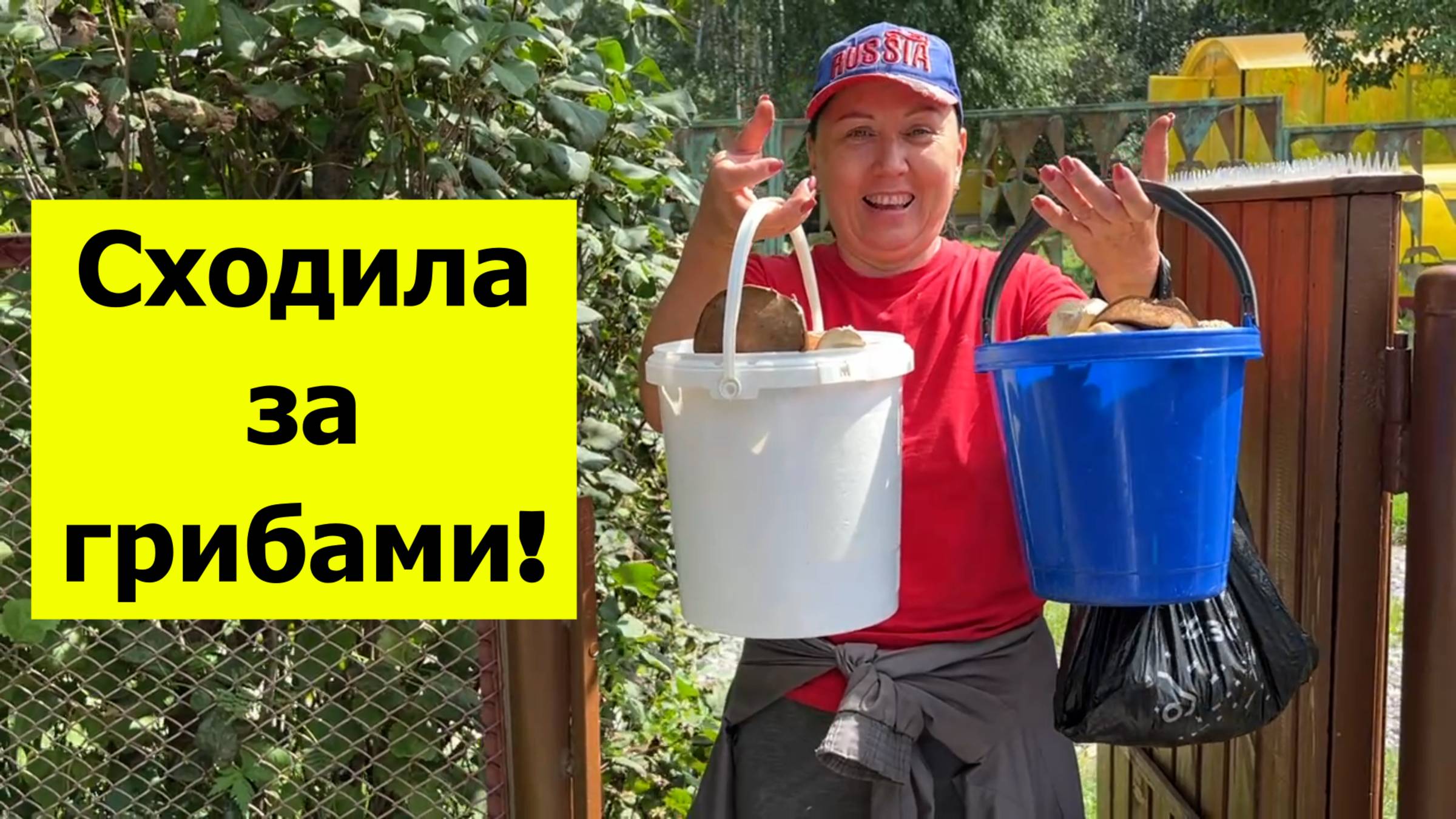 Сходила по грибы! Мой урожай грибов. Моем с мужем грибы. Никогда раньше столько не было БЕЛЫХ!