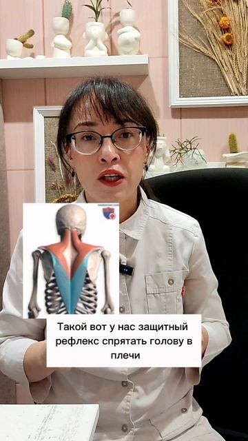 Ортопедический матрас Leben-качество, комфорт, надёжность во время сна!