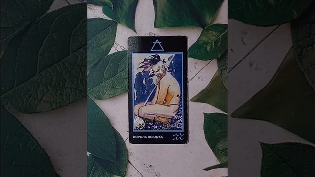 Для начинающих.Таро Манара.Фигурные арканы.Король Воздуха