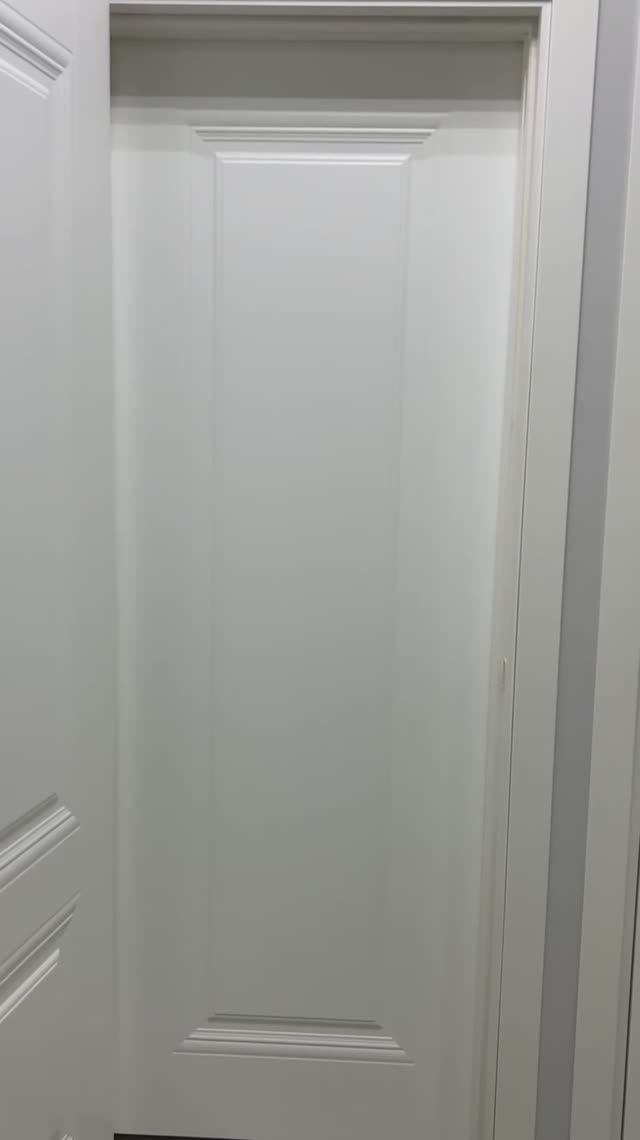 Barcelona 1 polar. Серия Skinel. Щитовая скиновая. Эмаль. ВЛАДИМИРСКАЯ ФАБРИКА ДВЕРЕЙ.