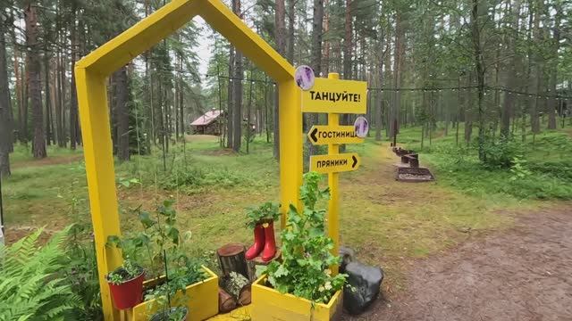 Лагерь Дача 2025