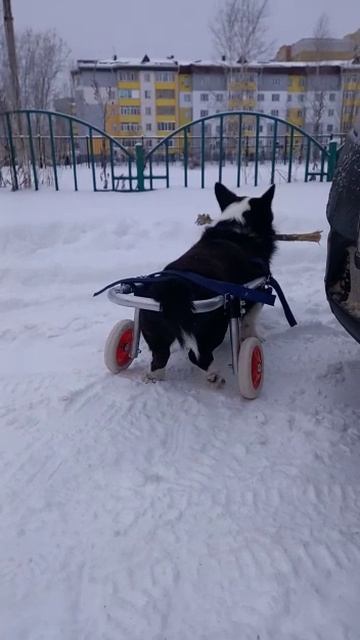 WhatsApp Video 2023-01-14 at 20.40.08