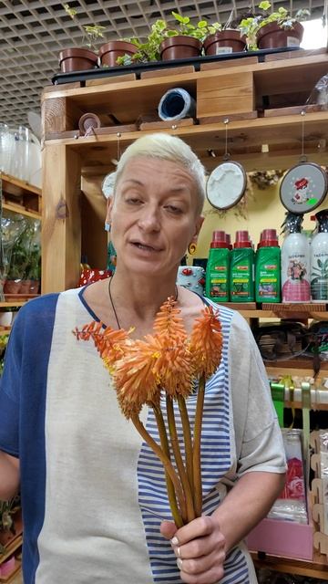 Необычные сезонные цветы. Интересные букеты с доставкой