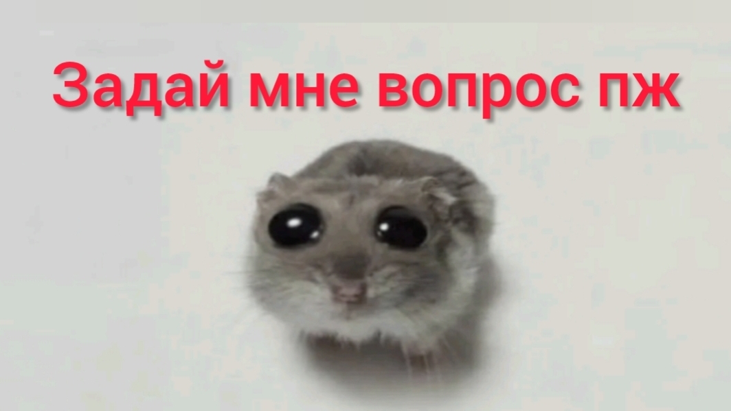 Задай мне вопрос