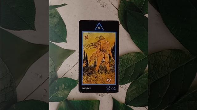 Для начинающих.Таро Манара.Младшие арканы.Пятерка Воздуха