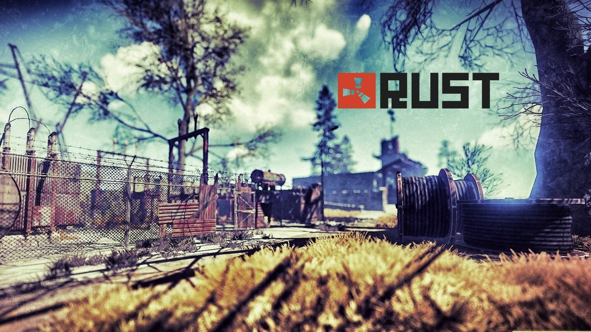 Тихий стрим Раст/RUST соло