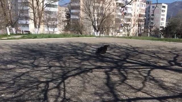 WhatsApp Video 2019-03-30 at 15.06.23