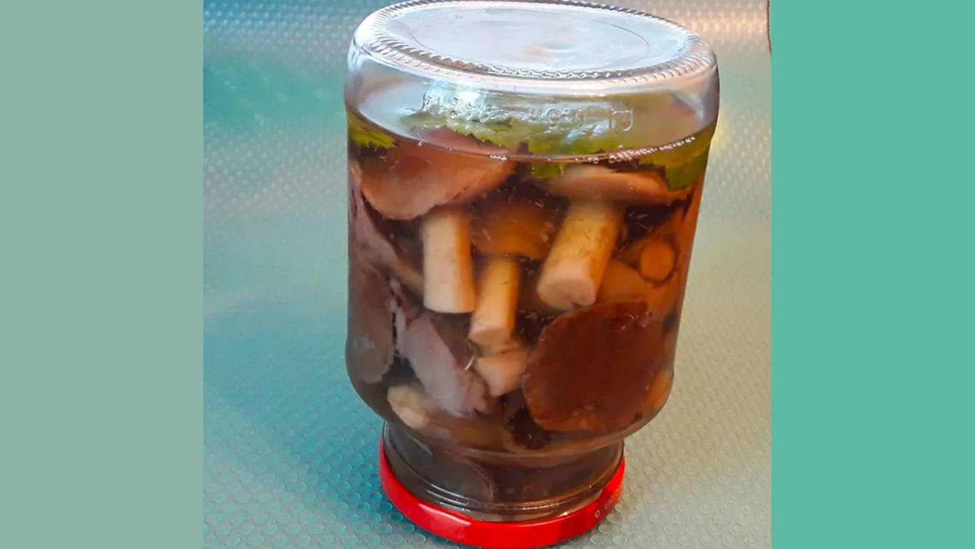 Маринованные белые грибы на зиму. Рецепт маринада для грибов