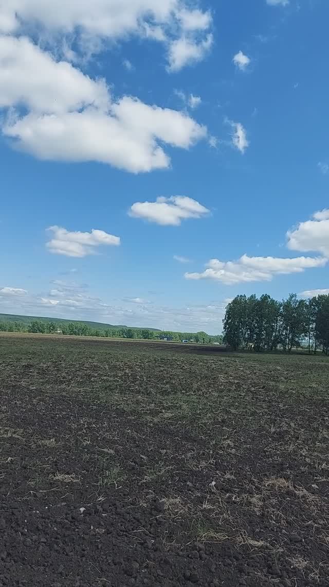 Катаемся по лесу!)