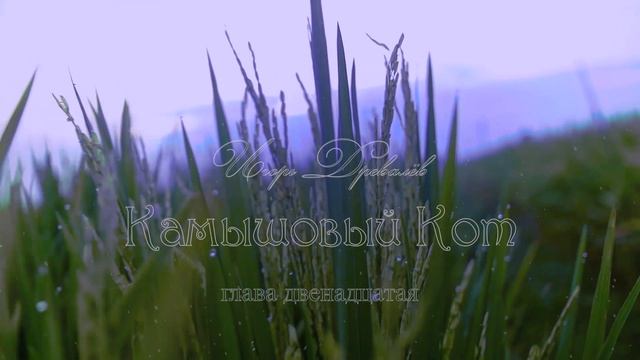 Игорь Древалёв. Камышовый Кот. Главы 11-13