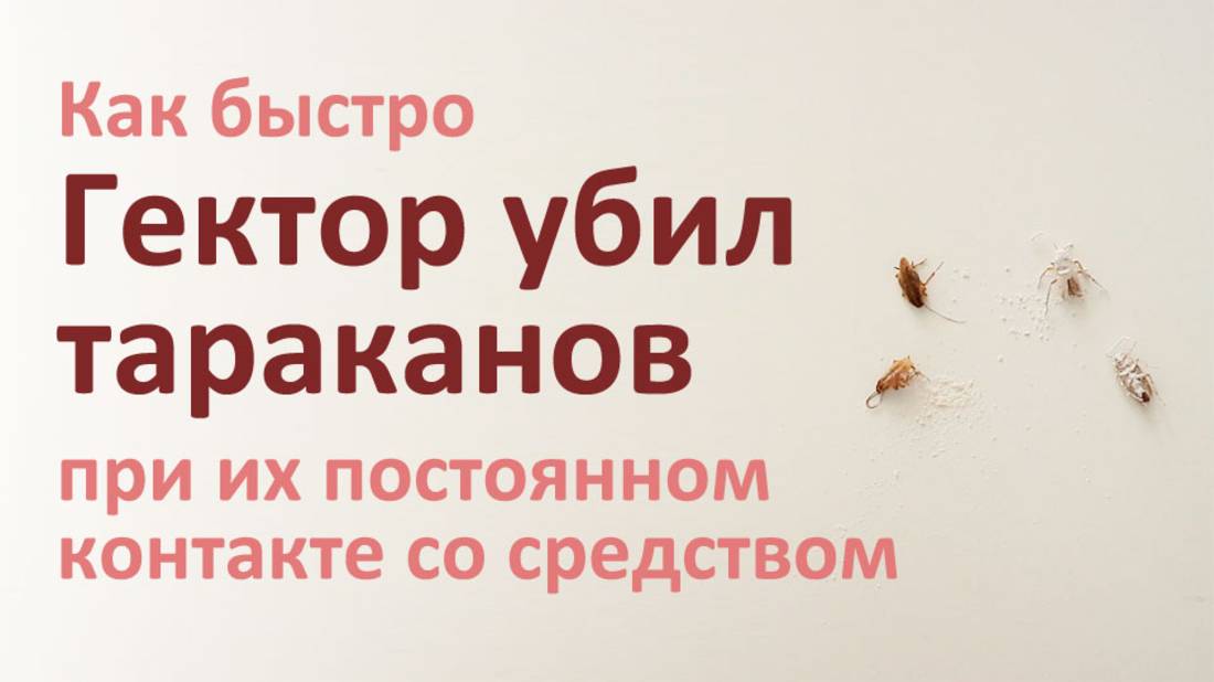 Смотрим, как быстро Гектор убивает всех тараканов, находящихся в постоянном контакте с ним