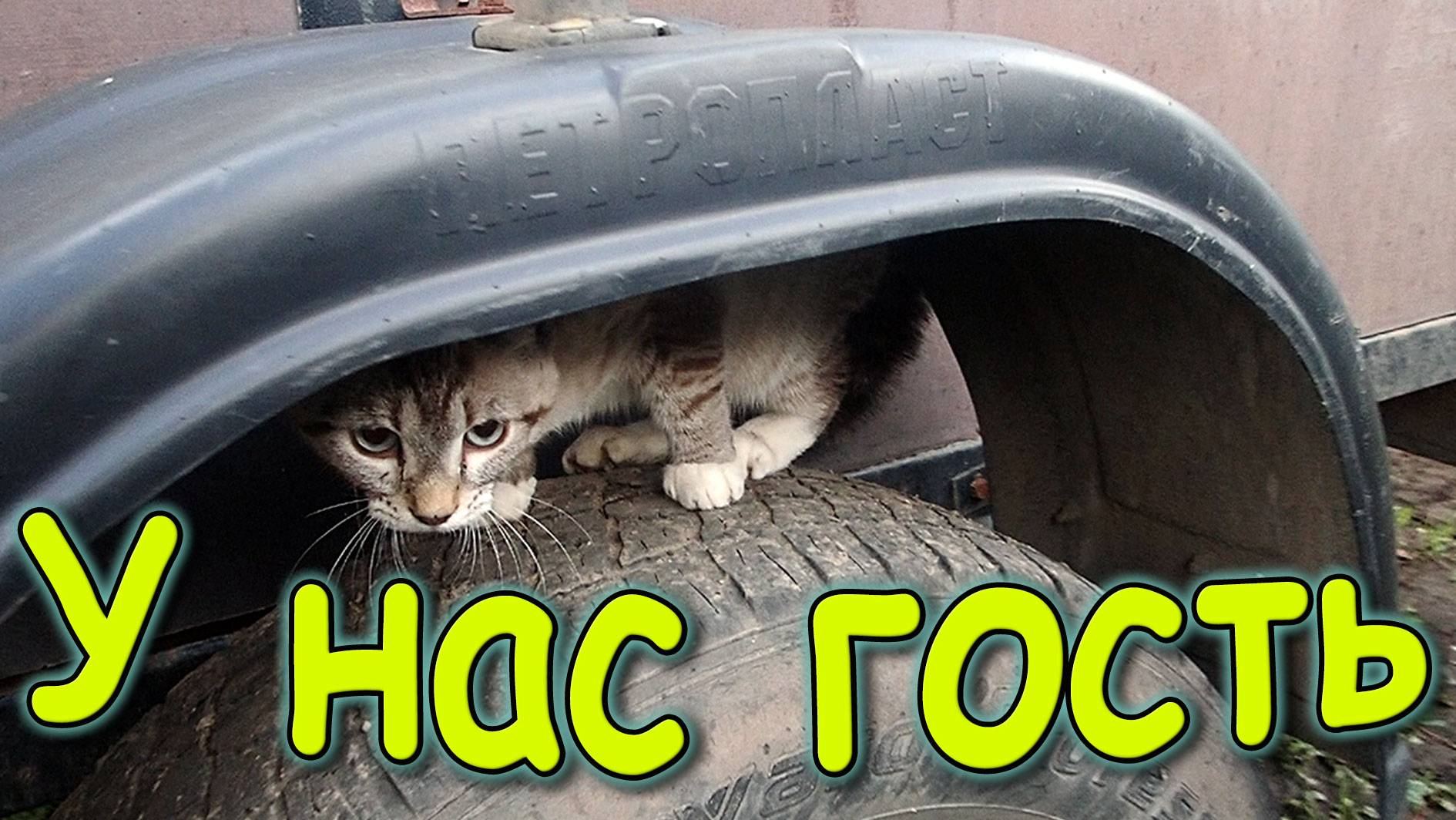 В поисках работы и возможности увеличения финансов для семьи. Что же будет дальше.(08.25г) Бровченко