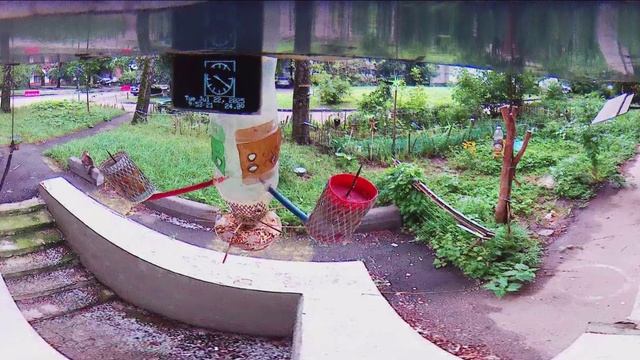 Под окном 2025 июль 01 - авг 02 не только Кошаки и собаки