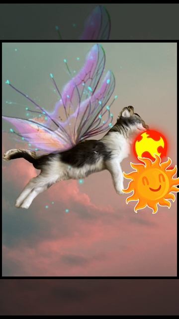 copy_C2E73015-B2F3-4315-AA15-F8B885215FD7