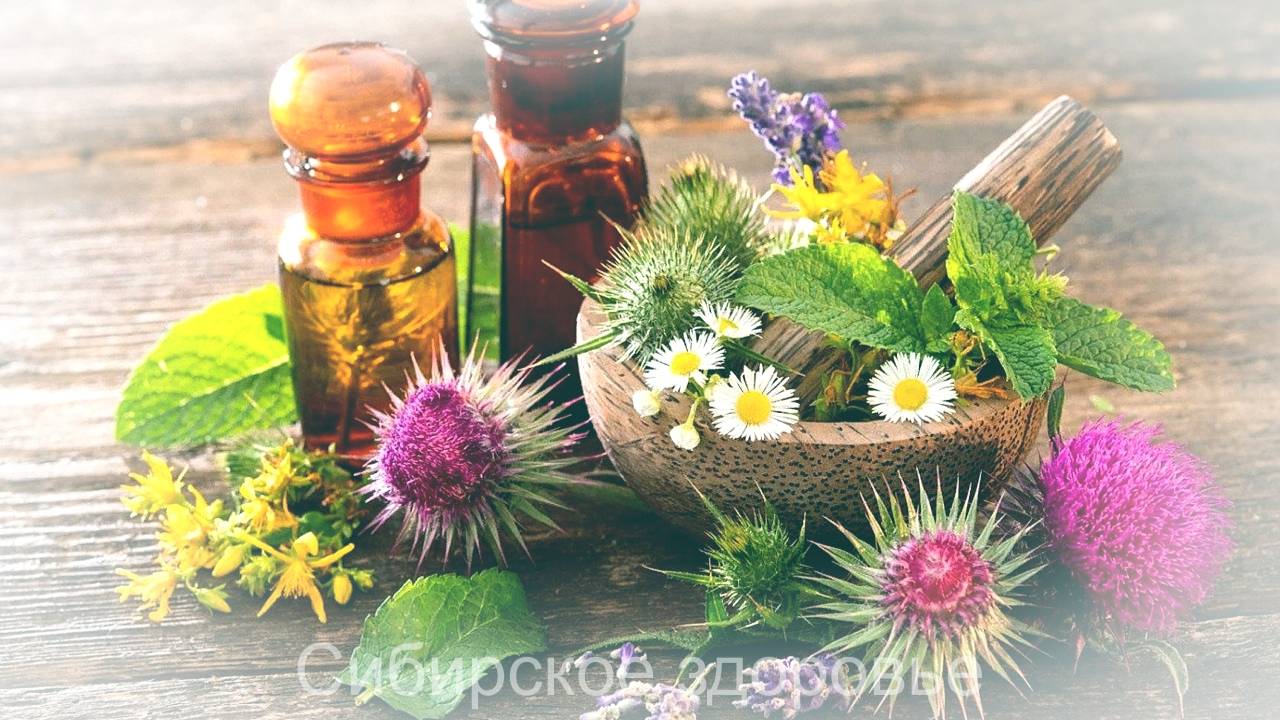 ЛУЧШИЕ РЕЦЕПТЫ ЗОЖ ИЗ СТАРИННОЙ ЛИТЕРАТУРЫ