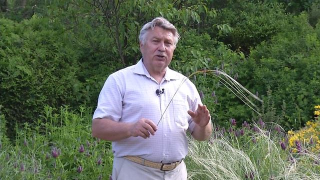 Шоу УДАЧНИКИ 49