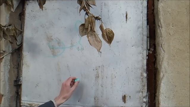 Вереск - RoundBug