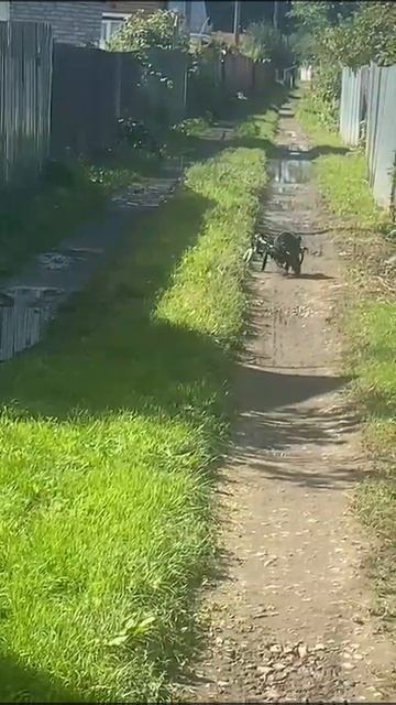 video5348510361253338738