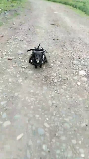 VID_20220603_081405.mp4