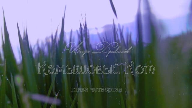 Игорь Древалёв. Камышовый Кот. Главы 1-6