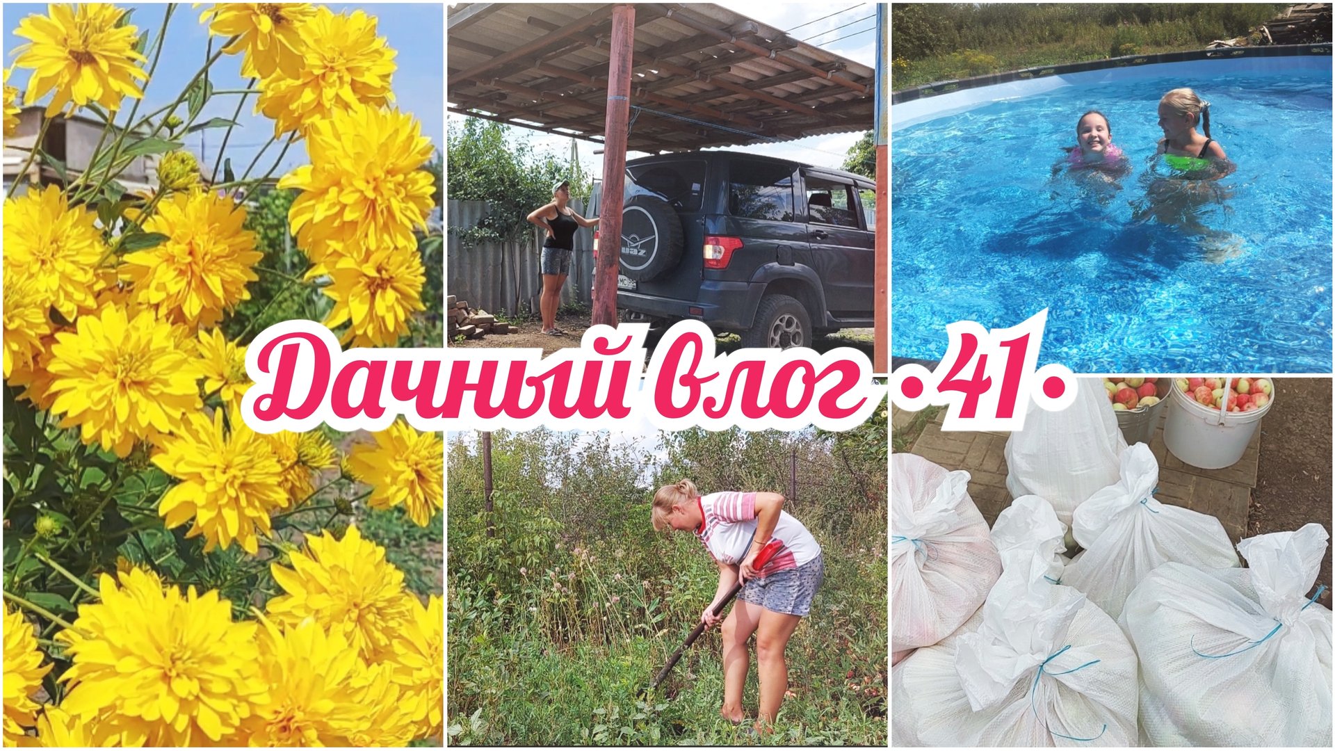 СОБРАЛИ МЕШКАМИ ЯБЛОКИ 🔥 НАКОПАЛА МЕЛКИЙ ЧЕСНОК // ДАЧНЫЕ РАБОТЫ / ОБЕД уДАЧНИКА