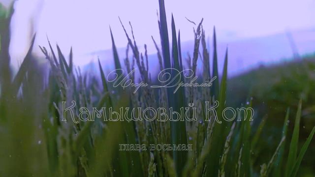 Игорь Древалёв. Камышовый Кот. Главы 7-10